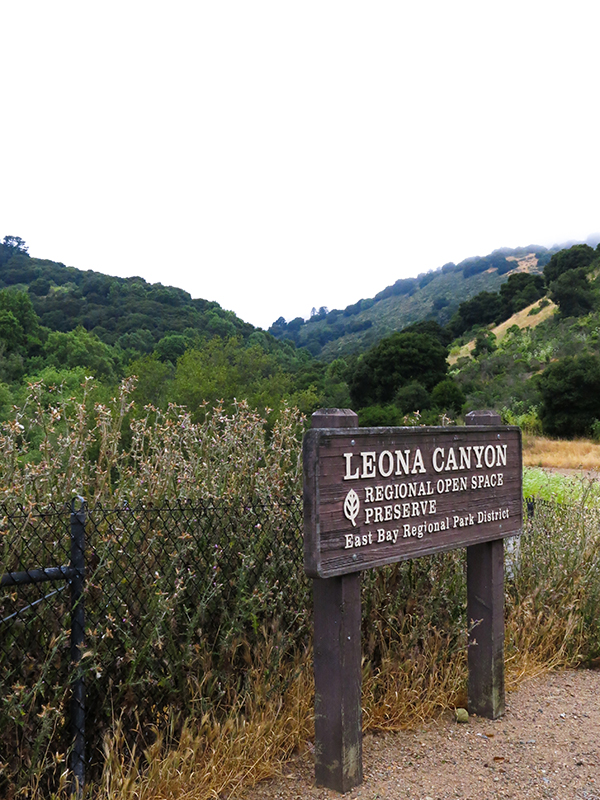 Lost in Thought in Leona Canyon - Oakland Momma